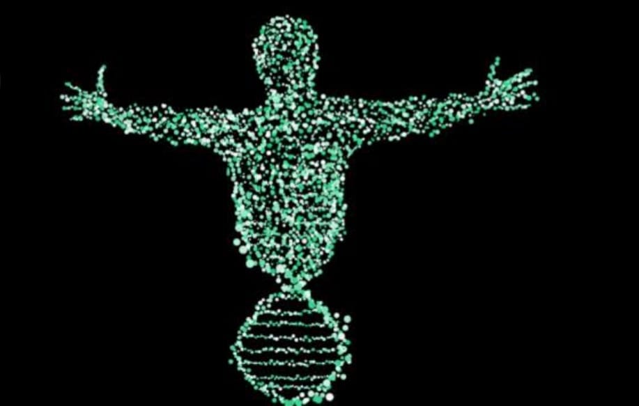 Il genetista cinese He Jiankui condannato per il dna modificato