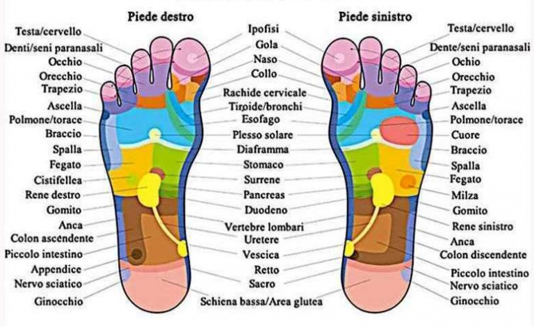 Che cos’è e quali sono i benefici della riflessologia plantare