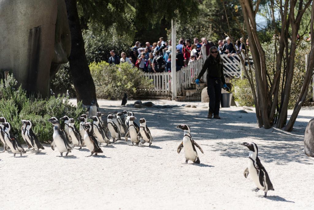 Zoo, qual è il pensiero comune: più favorevoli o contrari?